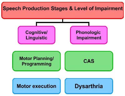 Childhood Apraxia of Speech: An Overview and Assessment Considerations ...